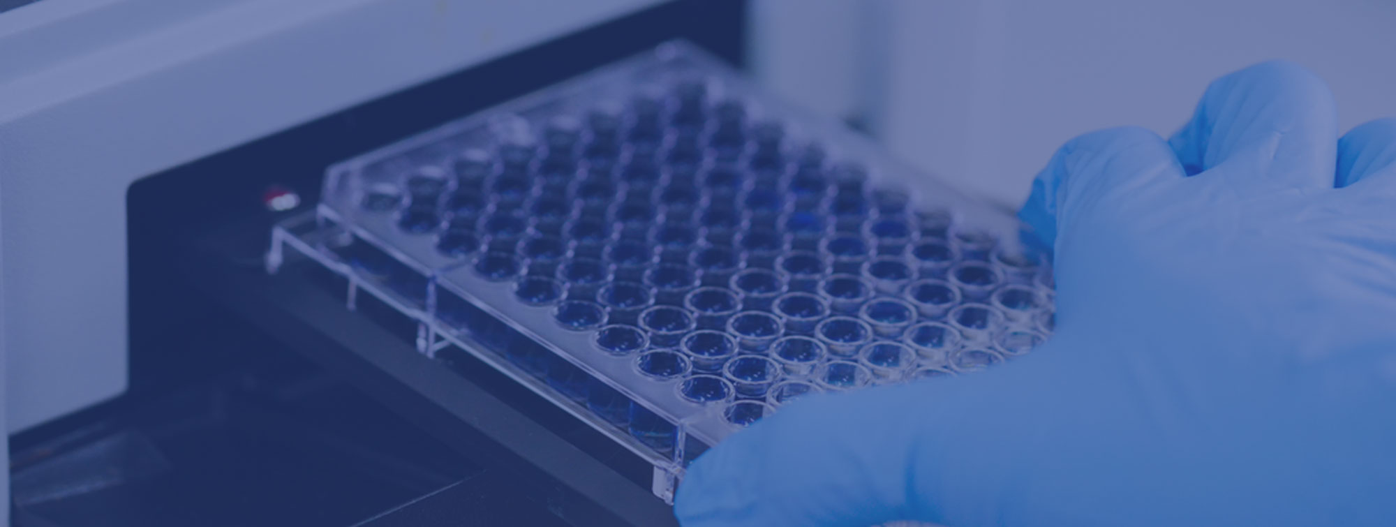 Services – High Care Laboratory